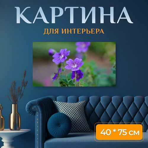 Картина на холсте "Мальва, цветок, фиолетовый" на подрамнике 75х40 см. для интерьера