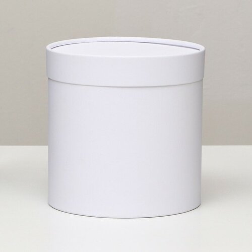 Подарочная коробка White, завальцованная без окна, 18х18 см