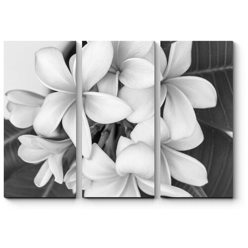 Модульная картина Аромат белых цветов 60x43