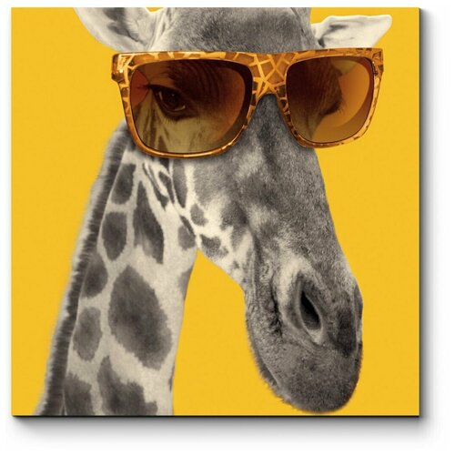 Модульная картина Жираф в очках 20x20