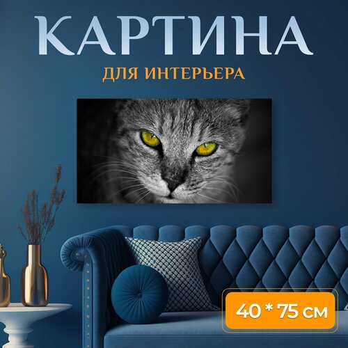 Картина на холсте "Кошка, портрет, глядя" на подрамнике 75х40 см. для интерьера