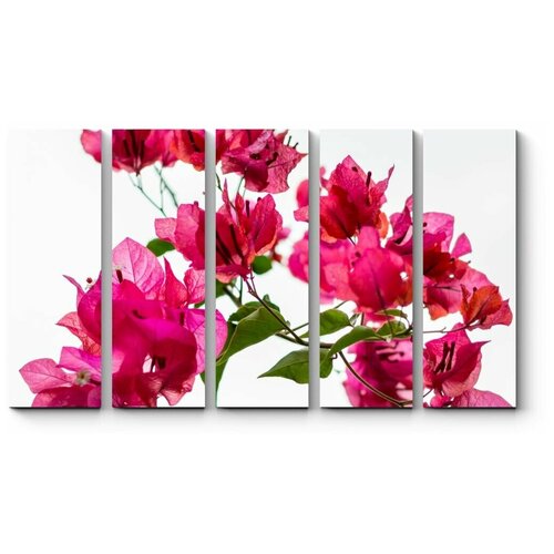 Модульная картина Розовая бугенвиллея 170x102
