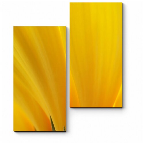 Модульная картина Желтые лепестки 40x50