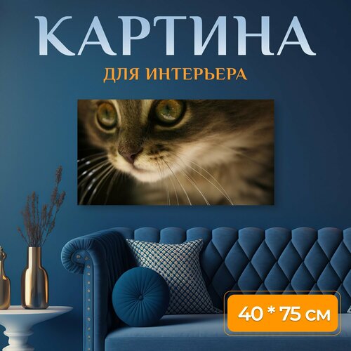 Картина на холсте "Котёнок, портрет, макро" на подрамнике 75х40 см. для интерьера