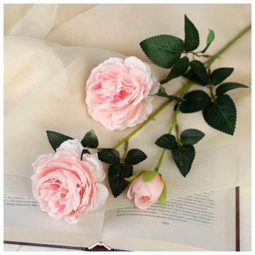 --- Цветы искусственные "Роза терция" 8х60 см, розовый