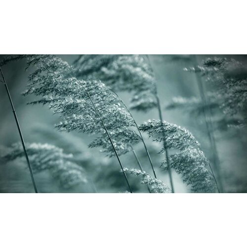 Картина на холсте 60x110 Альянс Лес "Трава макро растение" на подрамнике / интерьер/ декор