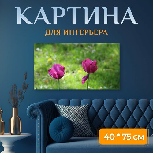 Картина на холсте "Природа, цветы, тюльпаны" на подрамнике 75х40 см. для интерьера