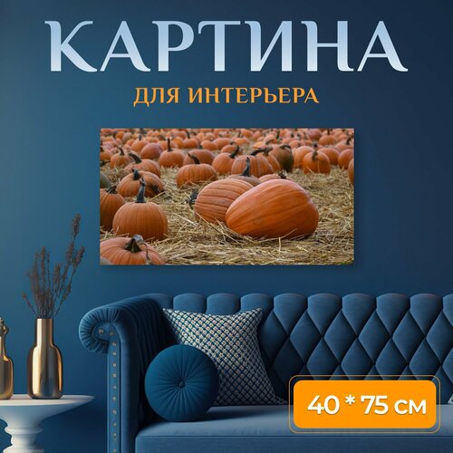 Картина на холсте "Тыквы, поле, уборка урожая" на подрамнике 75х40 см. для интерьера