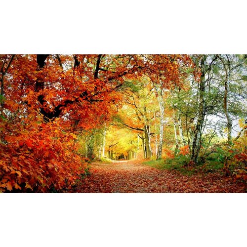Картина на холсте 60x110 Альянс Лес "Листья цвет осень парк" на подрамнике / интерьер/ декор