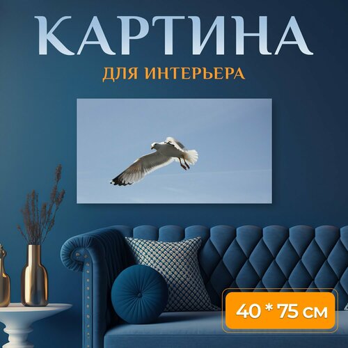 Картина на холсте "Чайка, голубое небо, свобода" на подрамнике 75х40 см. для интерьера