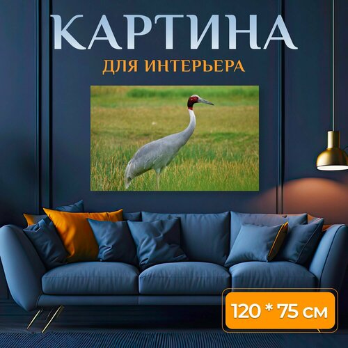 Картина на холсте "Природа, птица, животное" на подрамнике 120х75 см. для интерьера