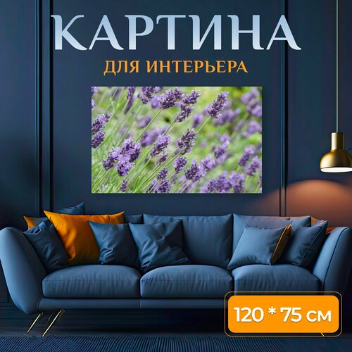 Картина на холсте "Цветок, лаванда, фиолетовый" на подрамнике 120х75 см. для интерьера