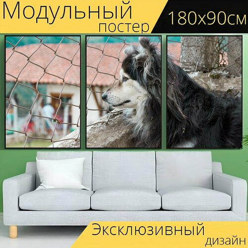 Модульный постер "Собака, щенок, талисман" 180 x 90 см. для интерьера