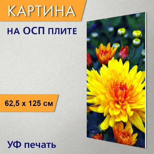 Вертикальная картина на ОСП "Растения, цветы, летние цветы" 62x125 см. для интерьериа