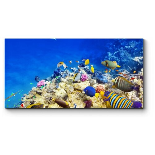 Модульная картина Яркие краски подводного мира 70x35