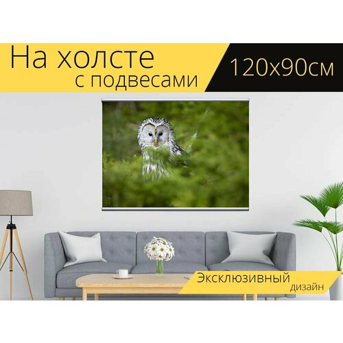 Картина на холсте "Уральская сова, strix uralensis, птица" с подвесами 120х90 см. для интерьера