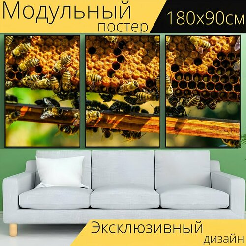 Модульный постер "Пчелы, насекомые, медовый" 180 x 90 см. для интерьера