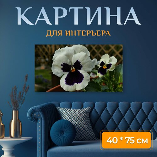 Картина на холсте "Анютины глазки, белые цветки, сад" на подрамнике 75х40 см. для интерьера