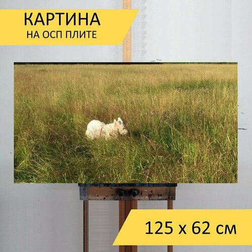 Картина на ОСП 125х62 см. "Высокая трава, собака, природа" горизонтальная, для интерьера, с креплениями