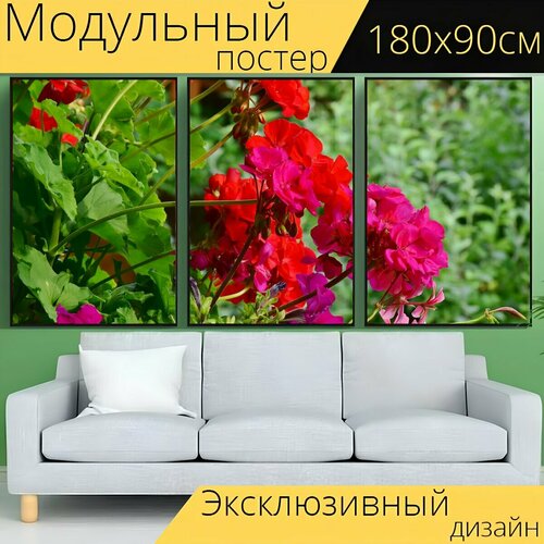 Модульный постер "Герань, балконное растение, цветок" 180 x 90 см. для интерьера