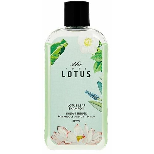 THE PURE LOTUS Шампунь для чувствительной и сухой кожи головы Lotus Leaf Shampoo For Middle & Dry Scalp