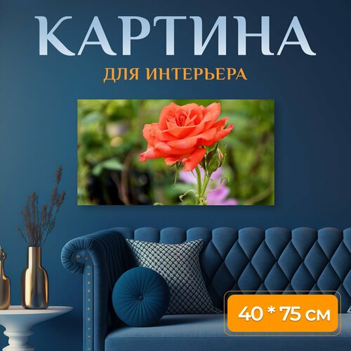 Картина на холсте "Роза, цветок, красный" на подрамнике 75х40 см. для интерьера