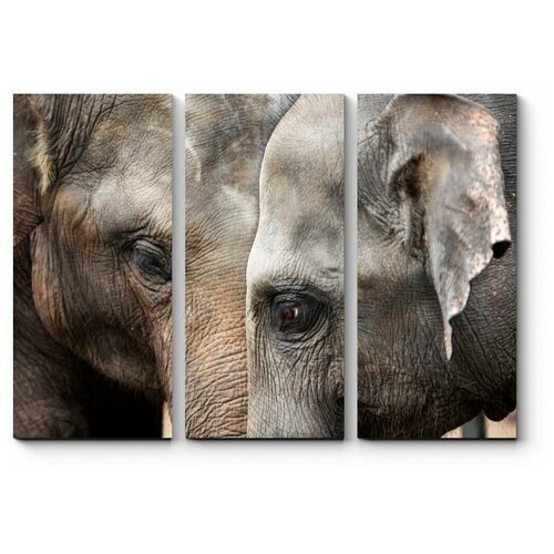 Модульная картина Любовь слонов 140x100