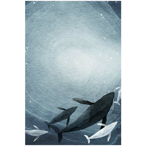 Постер / Плакат / Картина Синие киты 50х70 см в подарочном тубусе