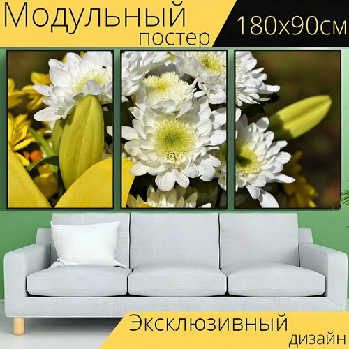 Модульный постер "Хризантема, цветок, расцветает" 180 x 90 см. для интерьера