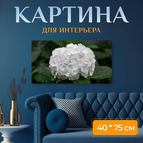 Картина на холсте "Завод, цветок, белый" на подрамнике 75х40 см. для интерьера