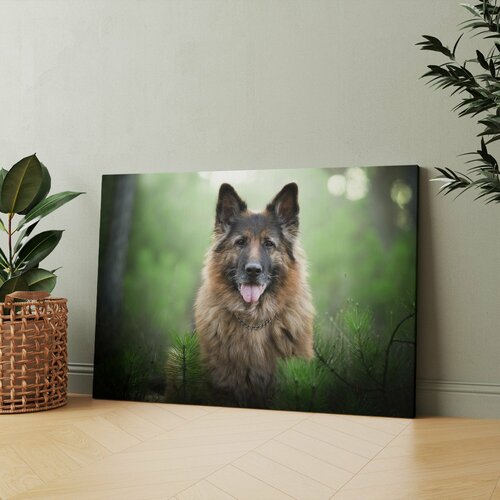 Картина на холсте "Собака которая стоит в траве" 30x40 см. Интерьерная, на стену.
