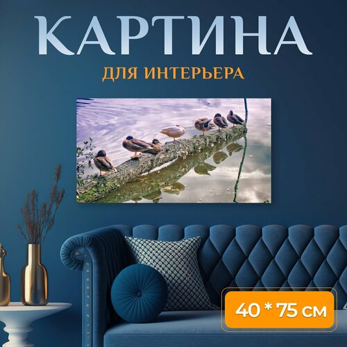 Картина на холсте "Утки, строка, озеро" на подрамнике 75х40 см. для интерьера