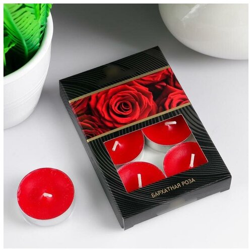 --- Набор чайных свечей ароматизированных "Бархатная роза" в подарочной коробке, 6 шт
