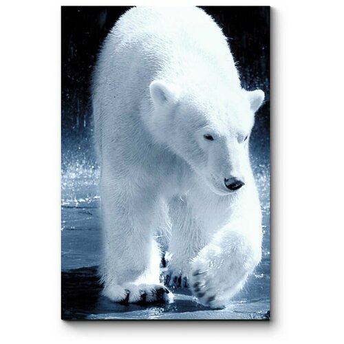 Модульная картина Белый полярный красавец 30x45