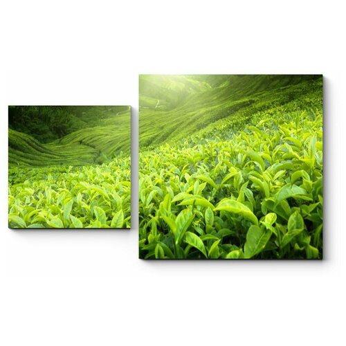 Модульная картина Бескрайняя зелень полей 130x78