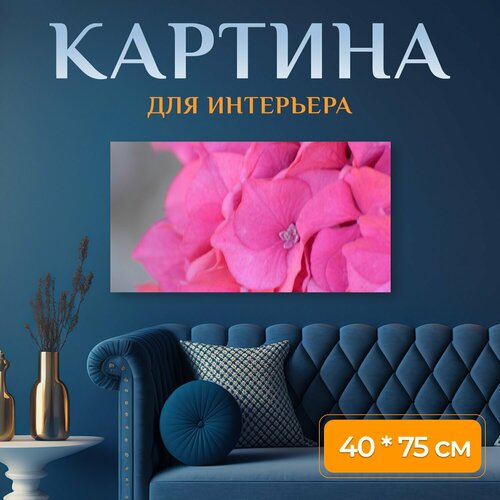 Картина на холсте "Цветок, розовый, гортензия" на подрамнике 75х40 см. для интерьера