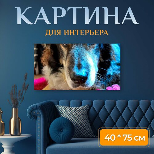 Картина на холсте "Собака, талисман, друг" на подрамнике 75х40 см. для интерьера