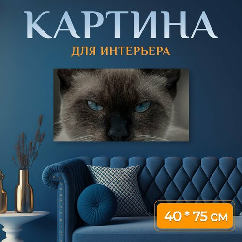 Картина на холсте "Кошка, домашний питомец, животное" на подрамнике 75х40 см. для интерьера