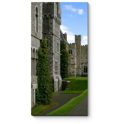 Модульная картина Средневековый замок в Ирландии40x80