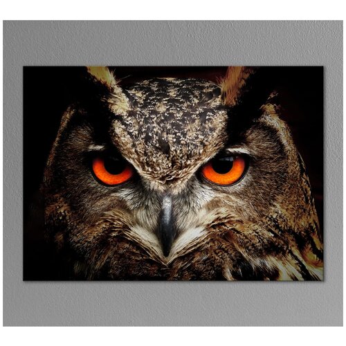 Картина интерьерная на натуральном холсте Poly Print Art "Сова" 50х70 см.