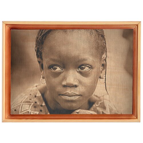Картина в рамке "Жемчужина Африки" 210 X 300
