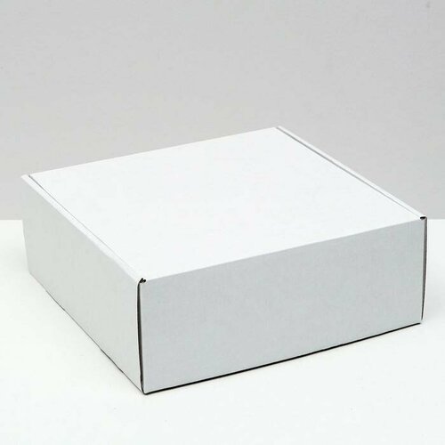 Коробка самосборная, белая, 25 x 25 x 9,5 см