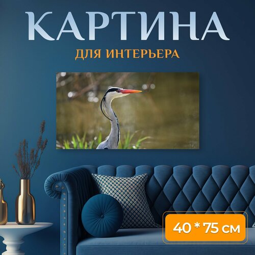 Картина на холсте "Серая цапля, цапля, птица" на подрамнике 75х40 см. для интерьера