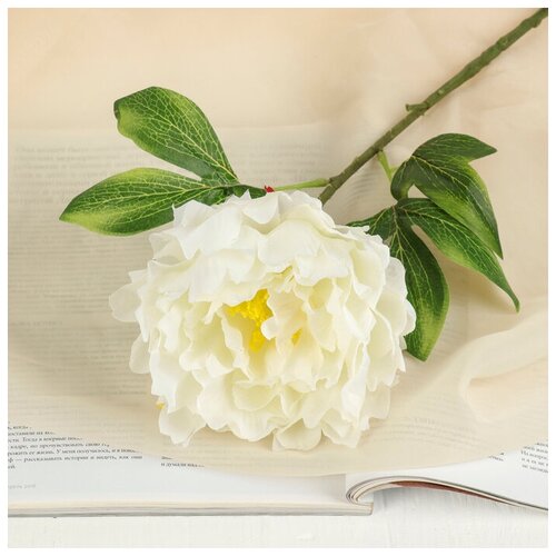 Цветы искусственные "Георгин Фин" 15х57 см (d цветка 13 см) белый 1840909