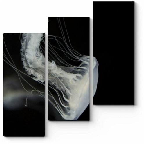 Модульная картина Белая медуза 100x107
