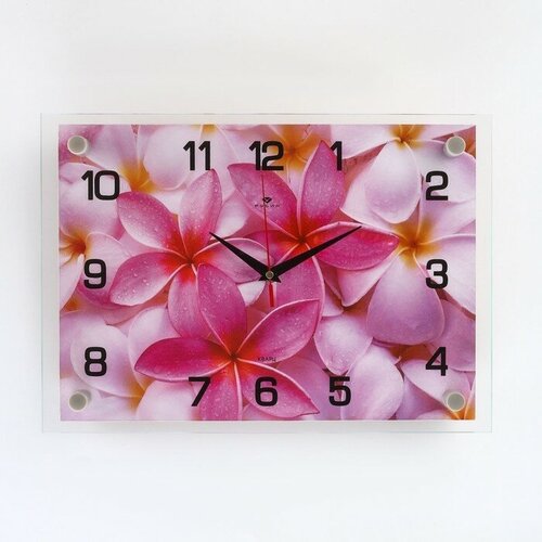 Рубин Часы настенные: Цветы, бесшумные, 25 х 35 см