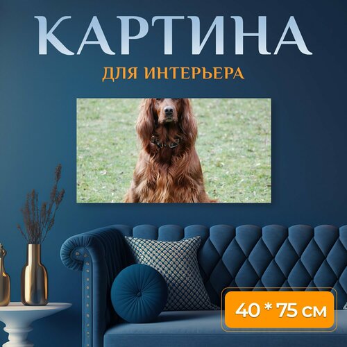 Картина на холсте "Собака, трава, животное" на подрамнике 75х40 см. для интерьера