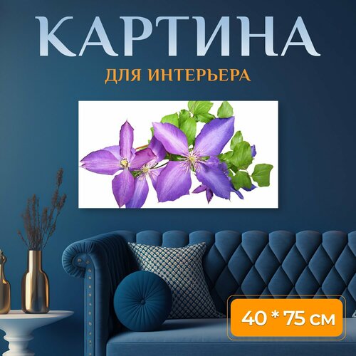 Картина на холсте "Клематис, фиолетовый, цветок" на подрамнике 75х40 см. для интерьера