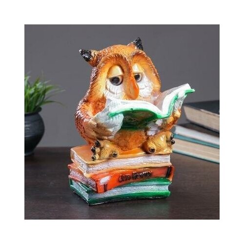 Копилка "Сова с книгами" 27см 435665 .
