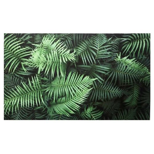 Картина на холсте "Листья папоротника" 60х100 см